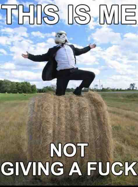 not a single one - Meme subido por jc98765321 :) Memedroid