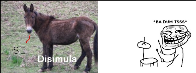 Disimula definicion grafica - Meme subido por diego trollface :) Memedroid