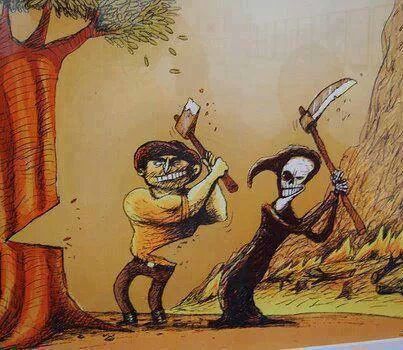 Save the trees - Meme by currypride_03 :) Memedroid