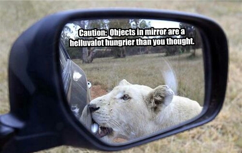 Caution! - Meme by CaptainEnglish :) Memedroid