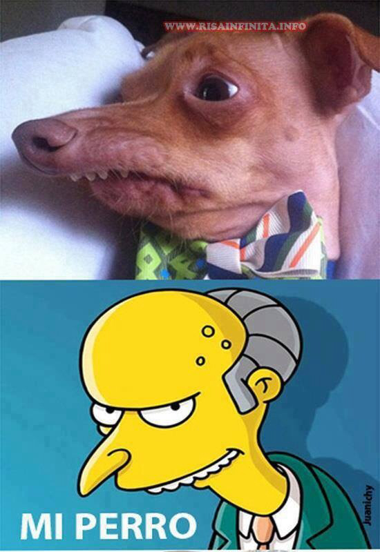 ESE ES MI PERRO - Meme subido por IRVINO :) Memedroid