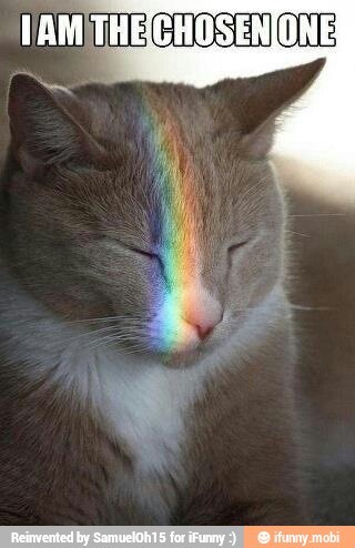 1st comment is the chosen one - Meme by superpops01 :) Memedroid