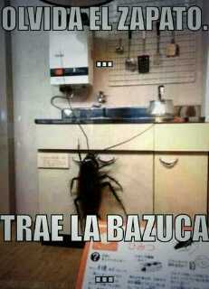 Olvida el zapato... - Meme subido por naylaromero19971232 :) Memedroid