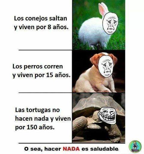 No hacer nada es saludable :D - Meme subido por melissani :) Memedroid