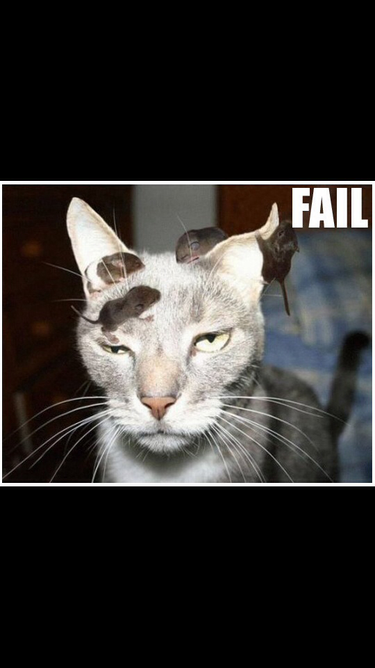 Big fail x) - Meme subido por rcam74 :) Memedroid