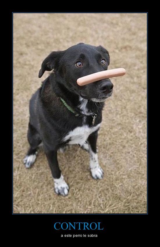 si q siiiii....woooo - Meme subido por skatex12 :) Memedroid