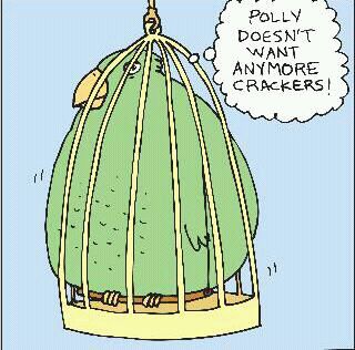 polly - Meme subido por indira.s.m :) Memedroid