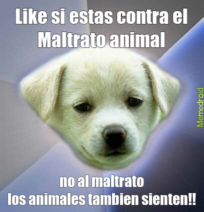 no mas!! - Meme subido por anaisyanez57 :) Memedroid