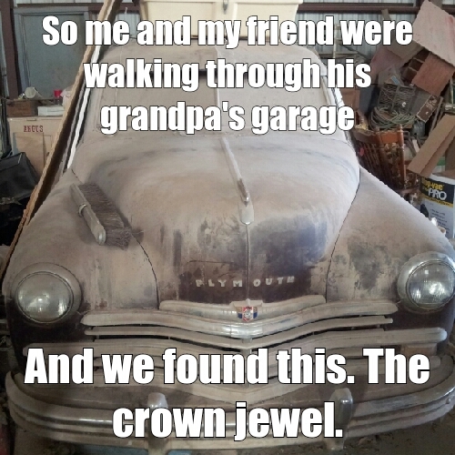 She's a bute. - Meme by xXslendyXx :) Memedroid