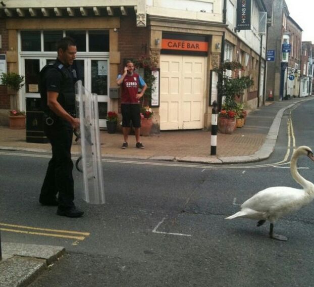 everyone stay back - Meme by fionnplp :) Memedroid