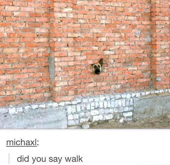 Walkies! - Meme by CrazedNinjaHillbilly :) Memedroid