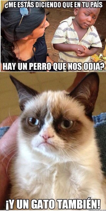 perros y gatos - Meme subido por sesore :) Memedroid