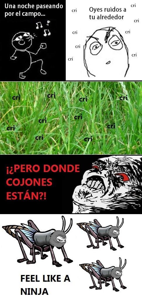 Grillos ninjas - Meme by manuatriachile :) Memedroid