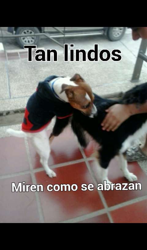 abrazos - Meme subido por andresfelipemunoz061 :) Memedroid