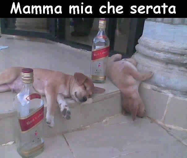 Meme Ubriachi Sì, Sei Ubriaco Illusione Ottica Trippy Divertente Meme