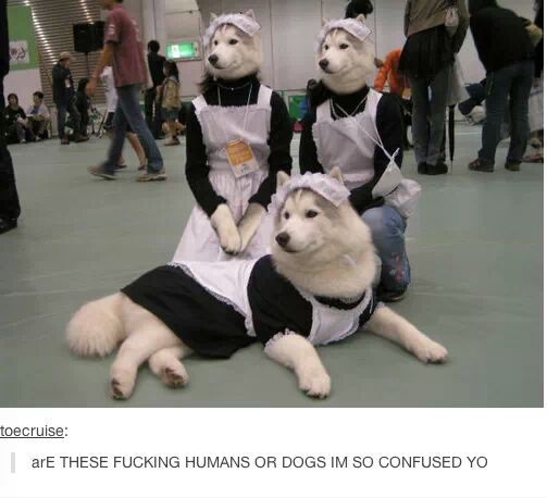 title is disturbed - Meme by boricuaa305 :) Memedroid