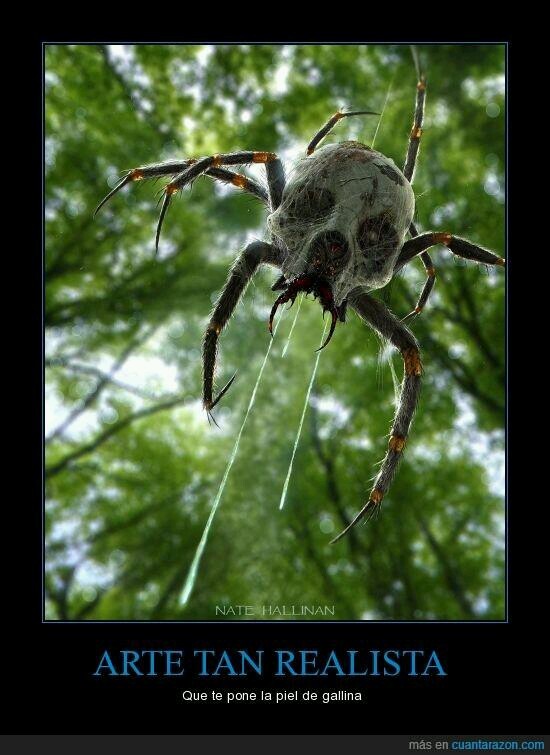 araña - Meme subido por jongaarcia19 :) Memedroid