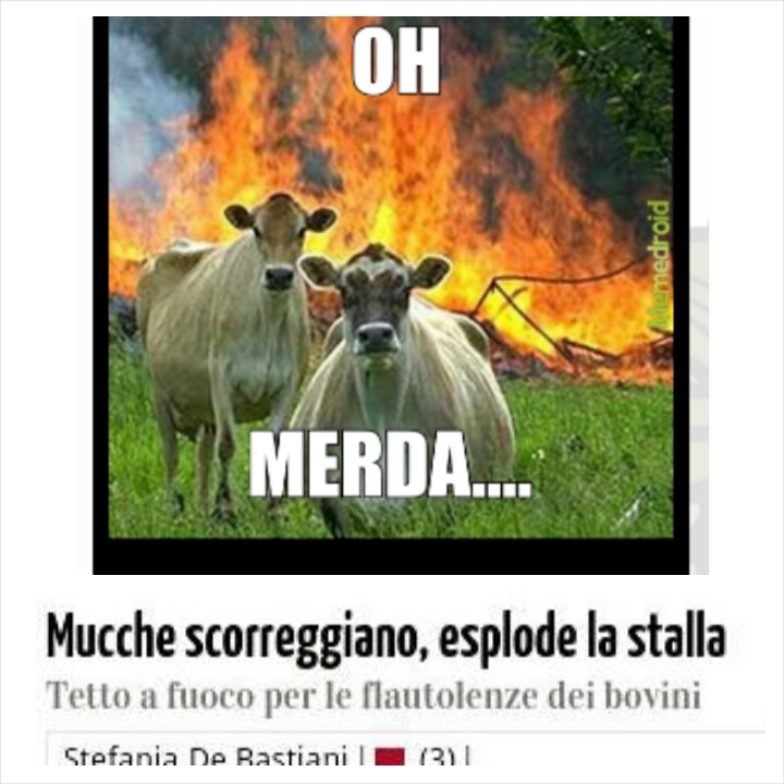 STORIA VERA CAPITATA A TREVISO - Meme subido por matt01 :) Memedroid