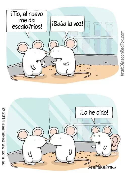 Ratones - Meme subido por Z3R0N3 :) Memedroid