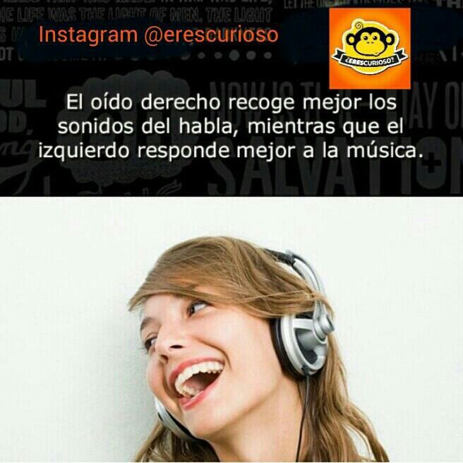 Música - Meme subido por trolleniams :) Memedroid