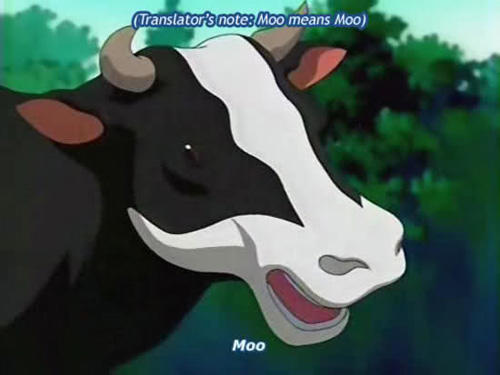 Anime subtitles. You don't say? - Meme subido por Shit_Licker_Deluxe ...