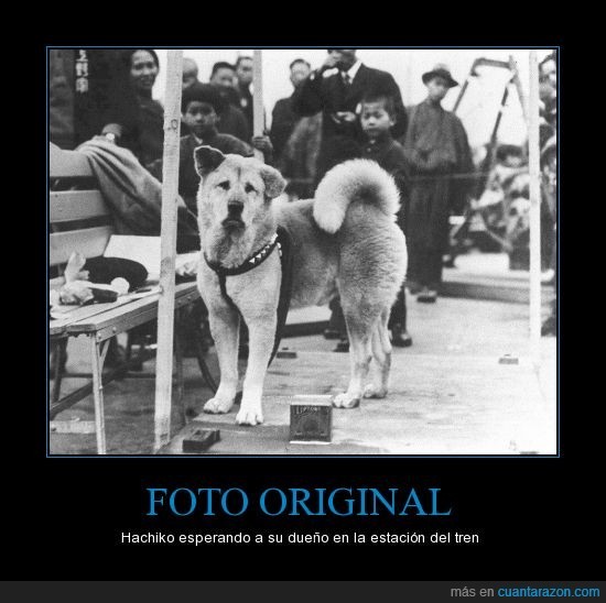 Hachiko ;( - Meme subido por madolell :) Memedroid