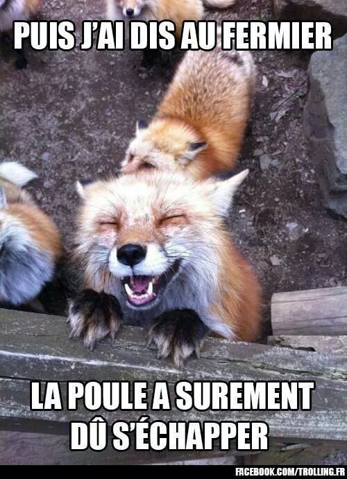 Tu crois qu'il m'a cru ? - Meme by DarK_GoldSpirit :) Memedroid