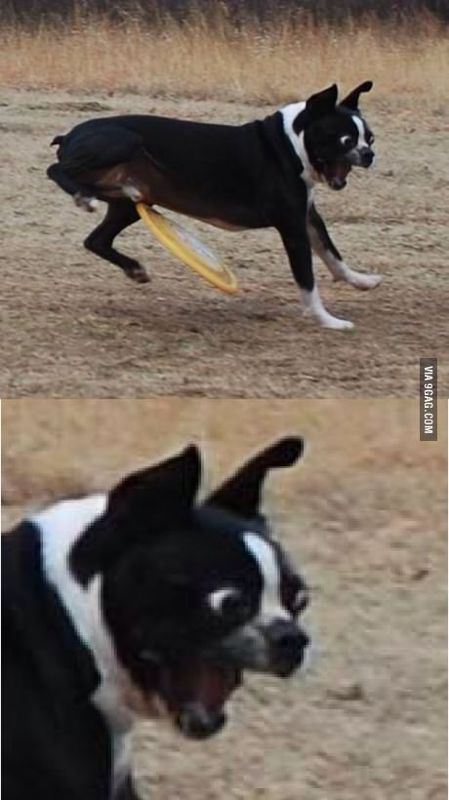 haaaaaaaa - Meme by bobby198 :) Memedroid