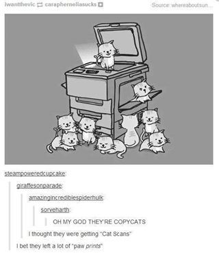 Copycat - Meme subido por abhinavshukla.shukla :) Memedroid