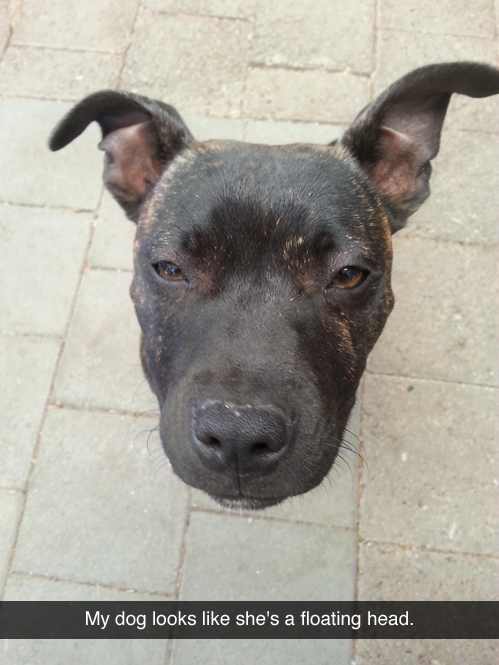 Freaky. - Meme by TheOmegaOperative :) Memedroid