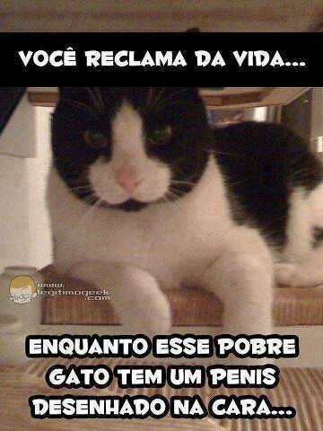 coitado dele kkkkk - Meme by fernandao17 :) Memedroid
