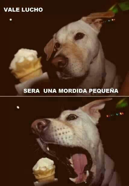 mordida - Meme subido por kaiserpy007 :) Memedroid