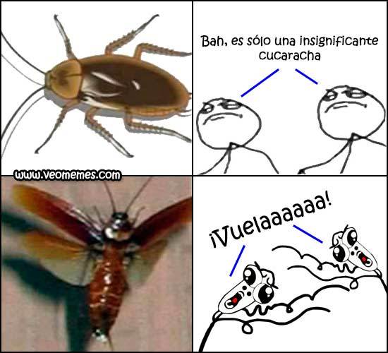 cucarachas - Meme subido por yoalidanae.dg :) Memedroid