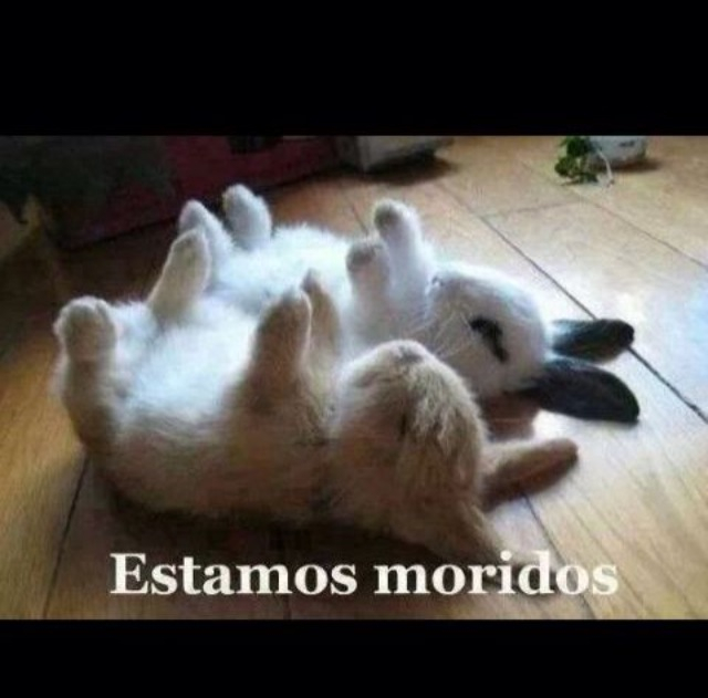 MoridoS - Meme subido por Victoria27jg :) Memedroid