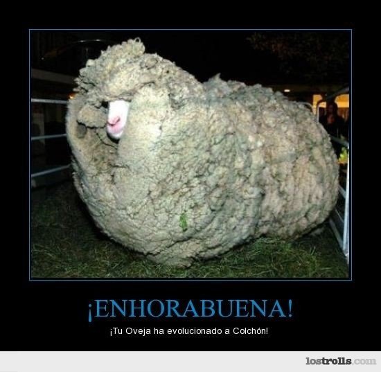 Exelente.. - Meme subido por ricardo.emanuel :) Memedroid