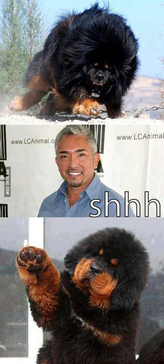 shhhhh - Meme subido por guillermodavalos46 :) Memedroid