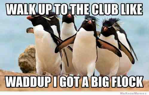 big flock - Meme by mandiicandii42 :) Memedroid