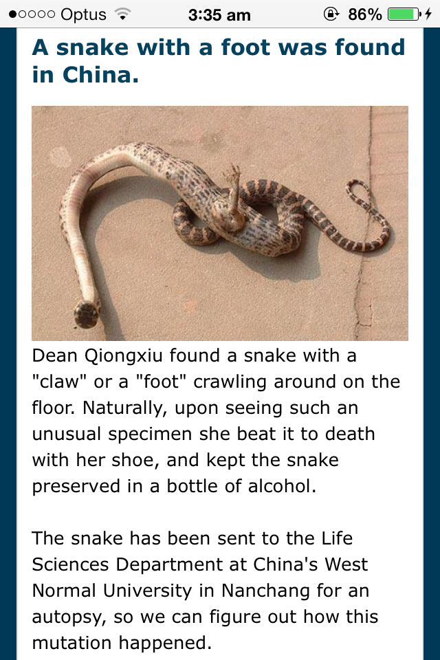 They're evolving! - Meme by Poise :) Memedroid