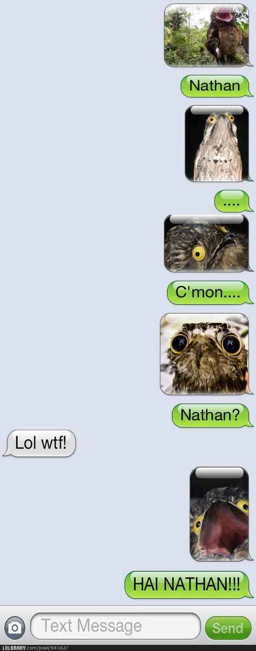 NATHAN. ........!!!!! - Meme by swany83 :) Memedroid