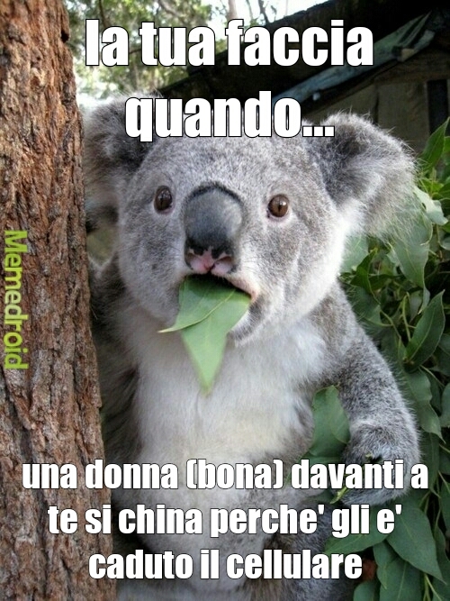 culooooooi - Meme subido por simone.polidori01 :) Memedroid