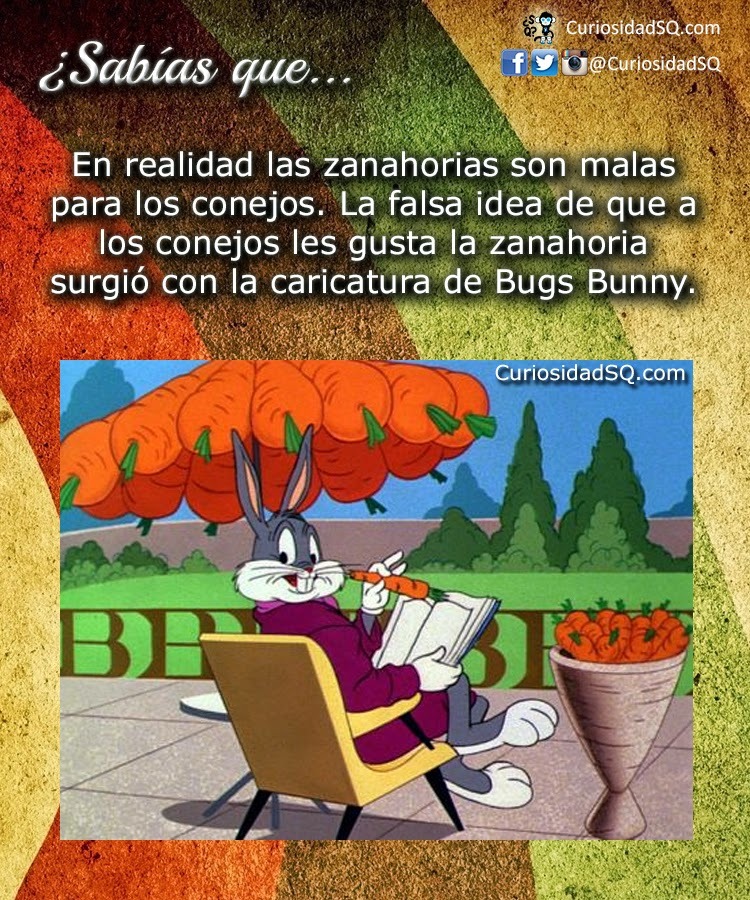 Curioso - Meme subido por myron :) Memedroid