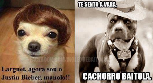 Te sento a vara - Meme by Matheustelesr :) Memedroid