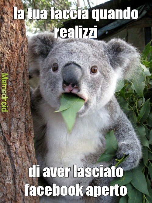 log out - Meme subido por dfdfmeme :) Memedroid