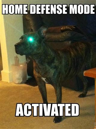 The guard dog - Meme by Ajer :) Memedroid