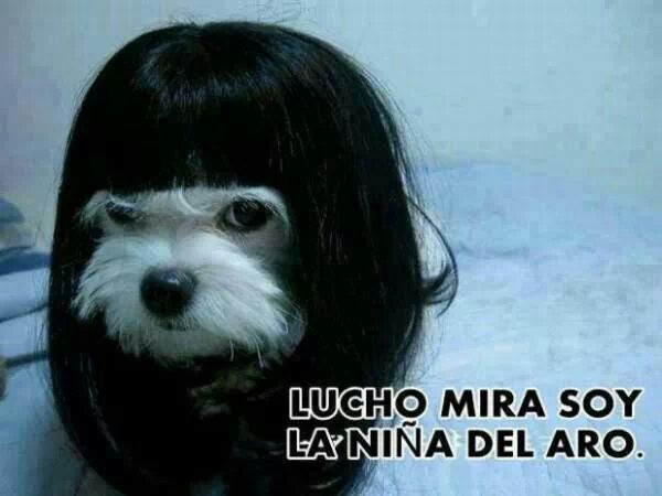 buuuu - Meme subido por andregallardo2000 :) Memedroid