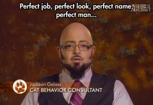 perfect man - Meme by estradaisaac11 :) Memedroid