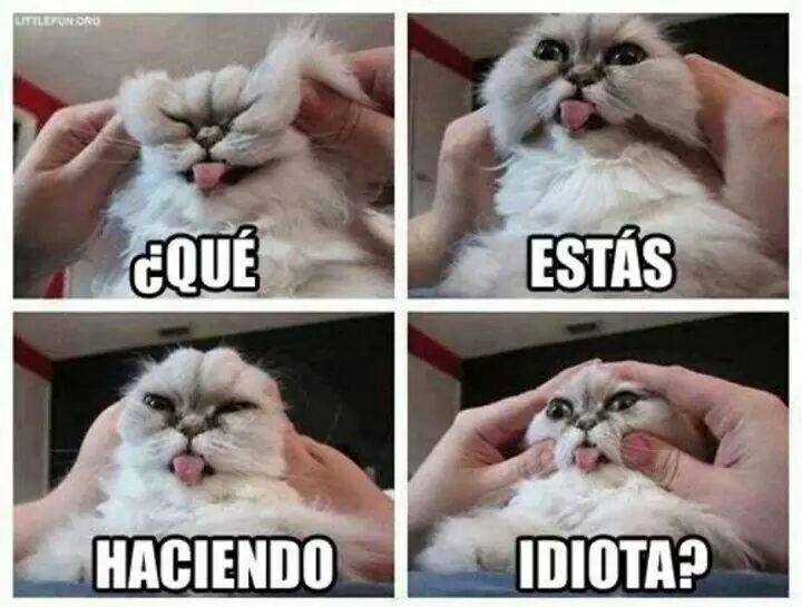 q haces... :3 - Meme subido por mary_jessy :) Memedroid