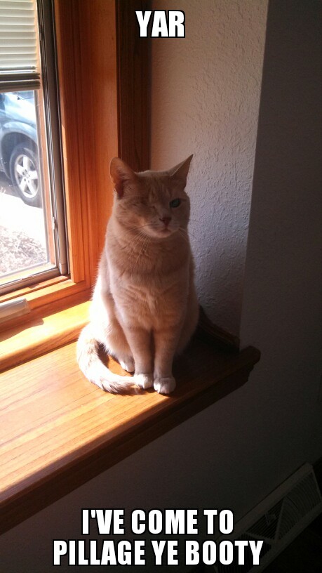 yo, pirate cat - Meme by marcsonn :) Memedroid