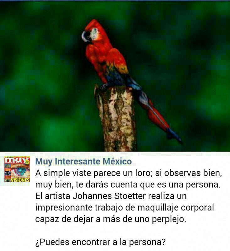 loro/persona - Meme subido por elhijoputa :) Memedroid
