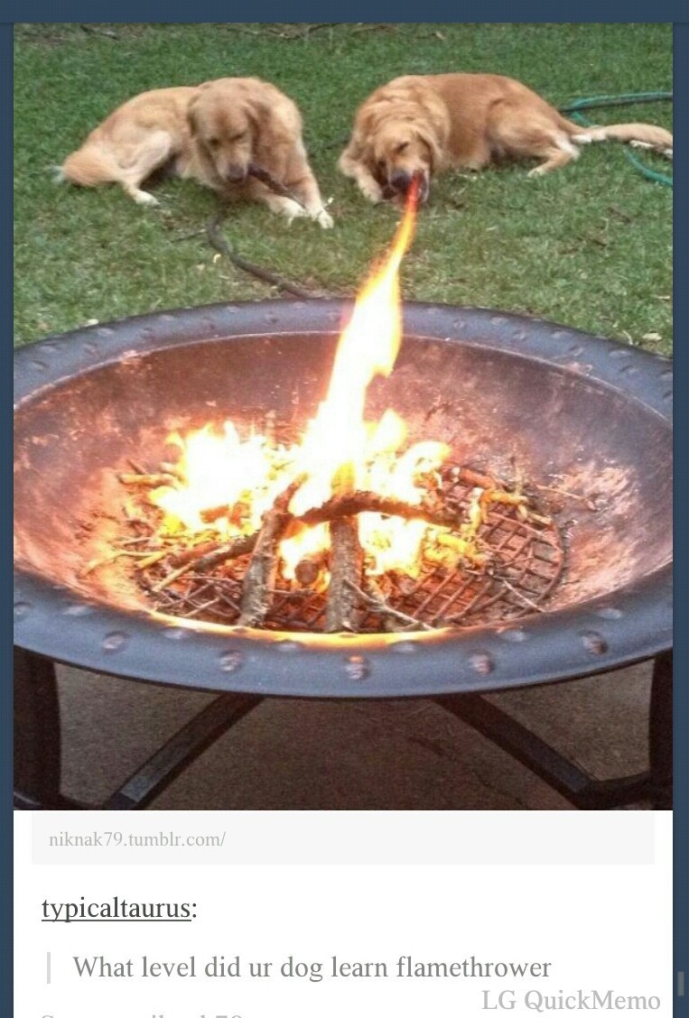 Level 1 - Meme by ventureon202 :) Memedroid